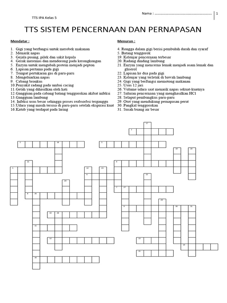 TTS IPA Kelas 5 | PDF