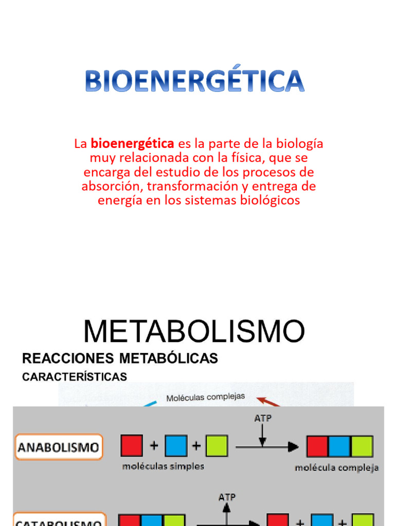 Bioenergetica y División Celular | PDF | Trifosfato de adenosina | Mitosis