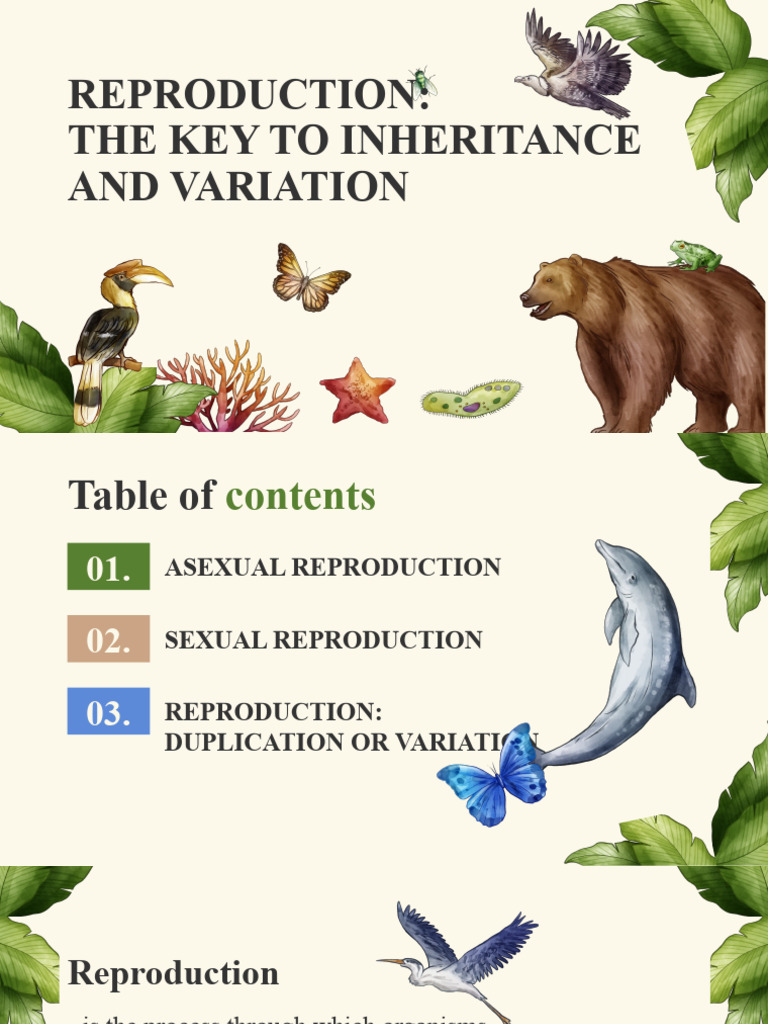 SCI 7 - Asexual & Sexual Reproduction | PDF | Sexual Reproduction ...