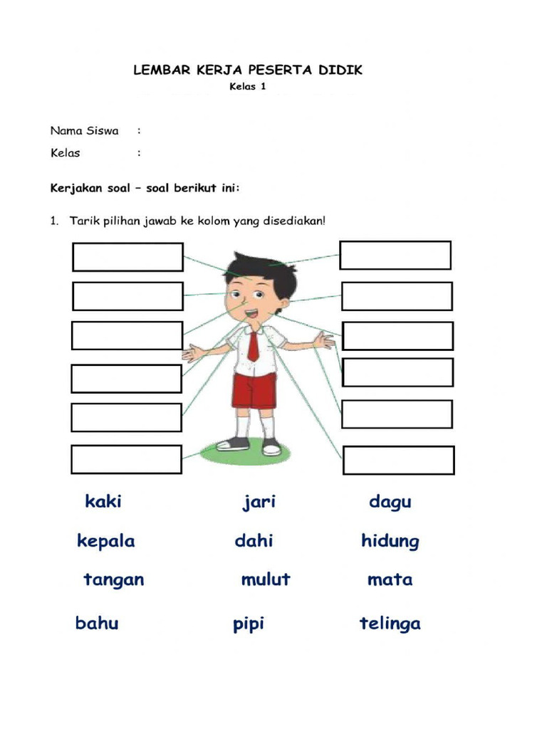 P1 IPAS Tubuhku | PDF