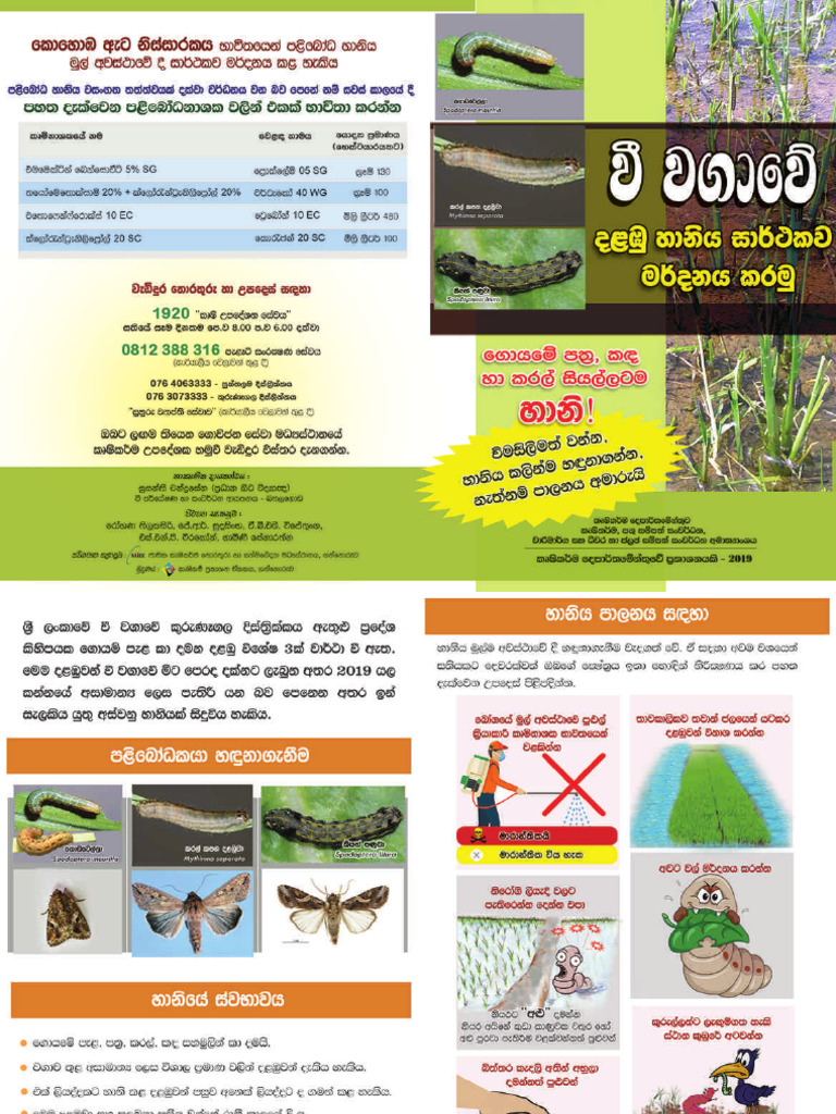 Paddy - 1. Successful Control - Leaflet-1 | PDF