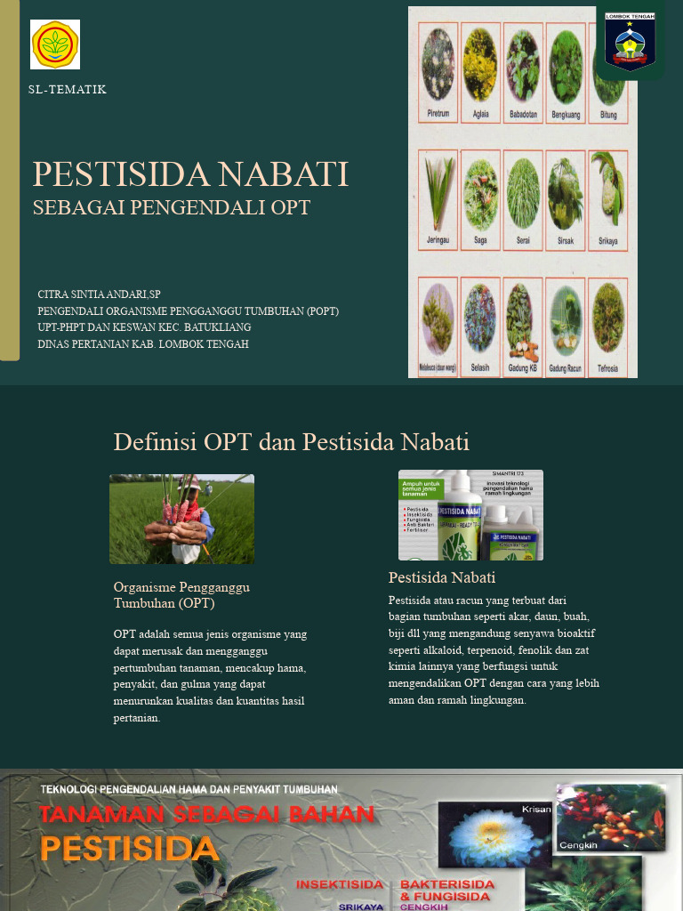 Pengendalian OPT Dengan Pestisida Nabati | PDF