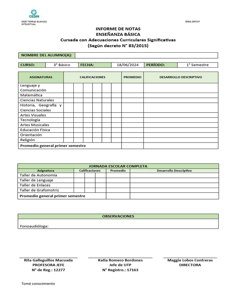 Modelo Informe de Notas | PDF
