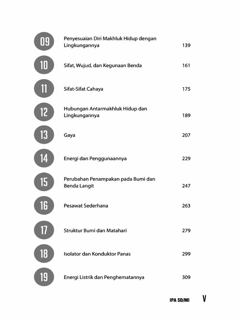 New Edition Big Book IPA SDMI Kelas 4, 5, 6-6 | PDF