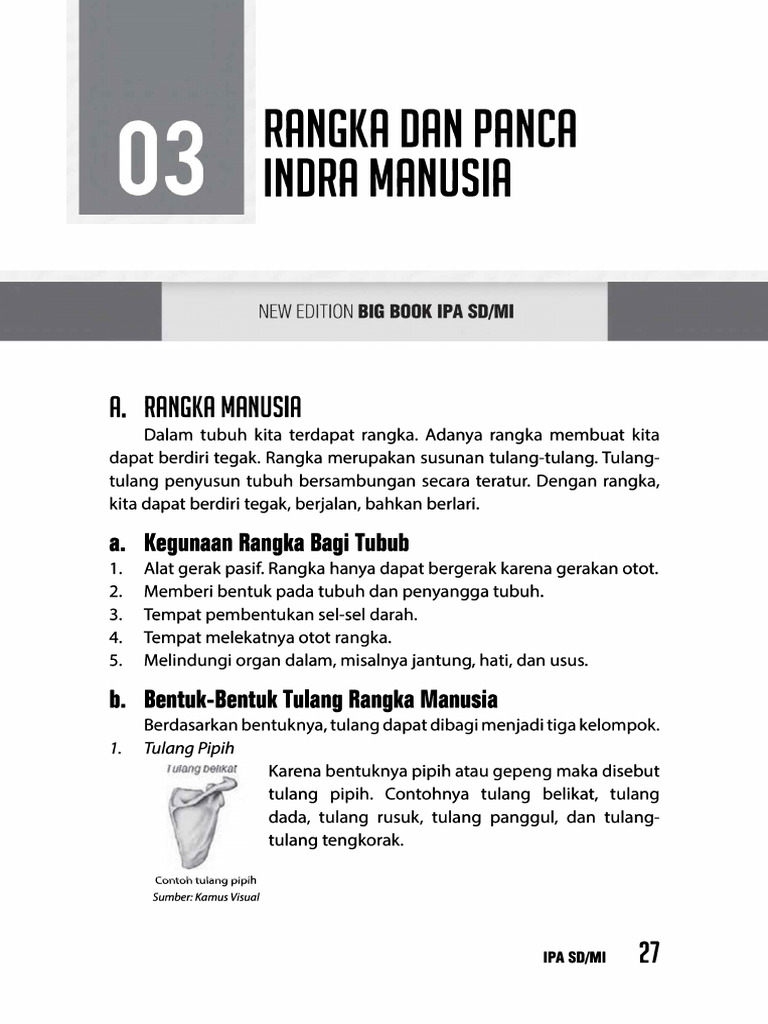 New Edition Big Book IPA SDMI Kelas 4, 5, 6-34 | PDF