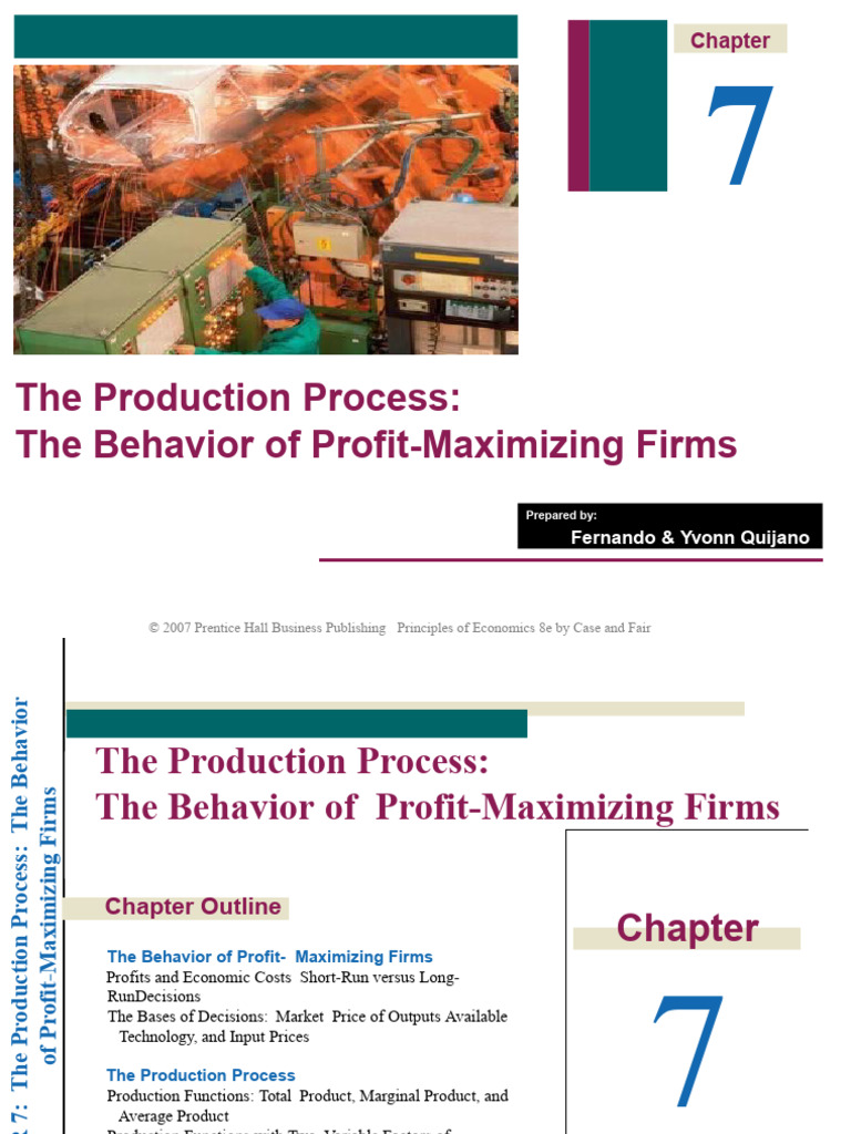 Meeting-9 - Production Process | PDF | Long Run And Short Run | Perfect ...