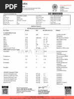 Positive Dengue Fever Test Report Format Example Sample Template Drlogy ...