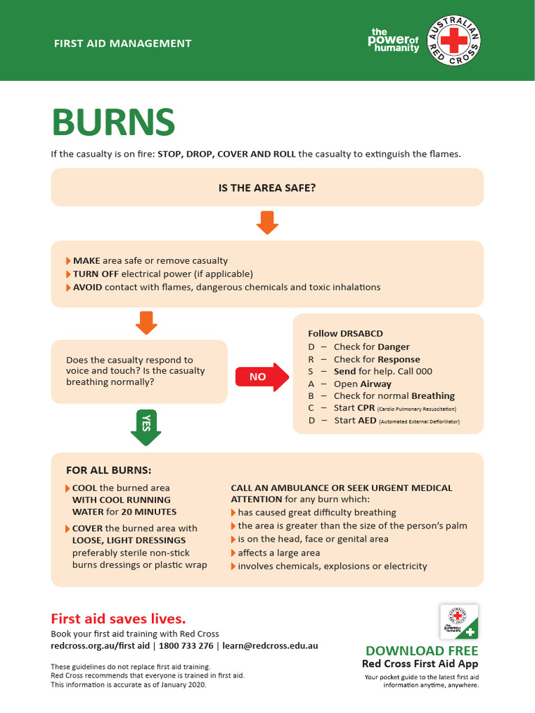 First Aid Poster | PDF | Cardiopulmonary Resuscitation | First Aid