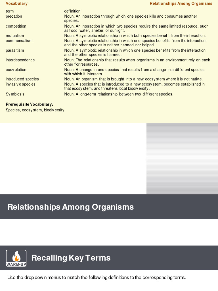 Relationships Among Organisms | PDF | Symbiosis | Invasive Species