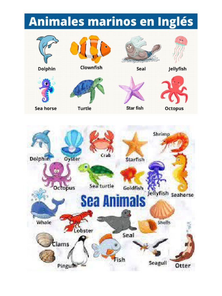 Animales marinos en ingles | PDF