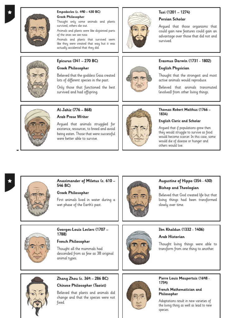 Evolutionary Ideas Fact Sheet | PDF | Evolution | Natural Selection