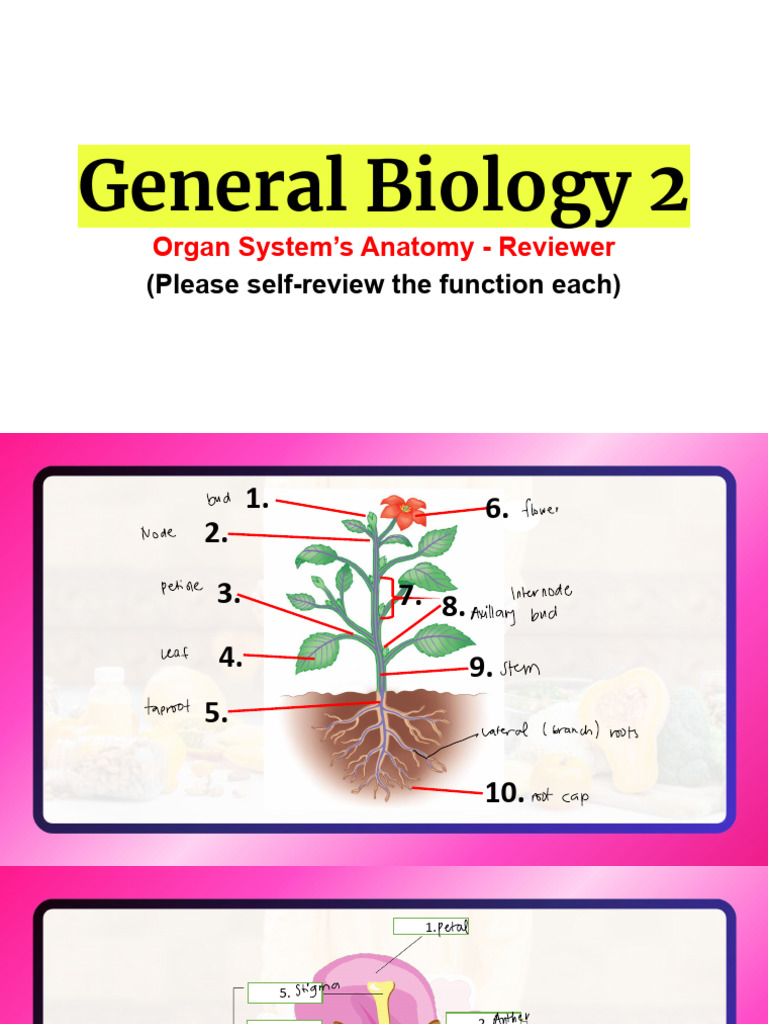 General Biology 2 Reviewer Part A | PDF | Science & Mathematics