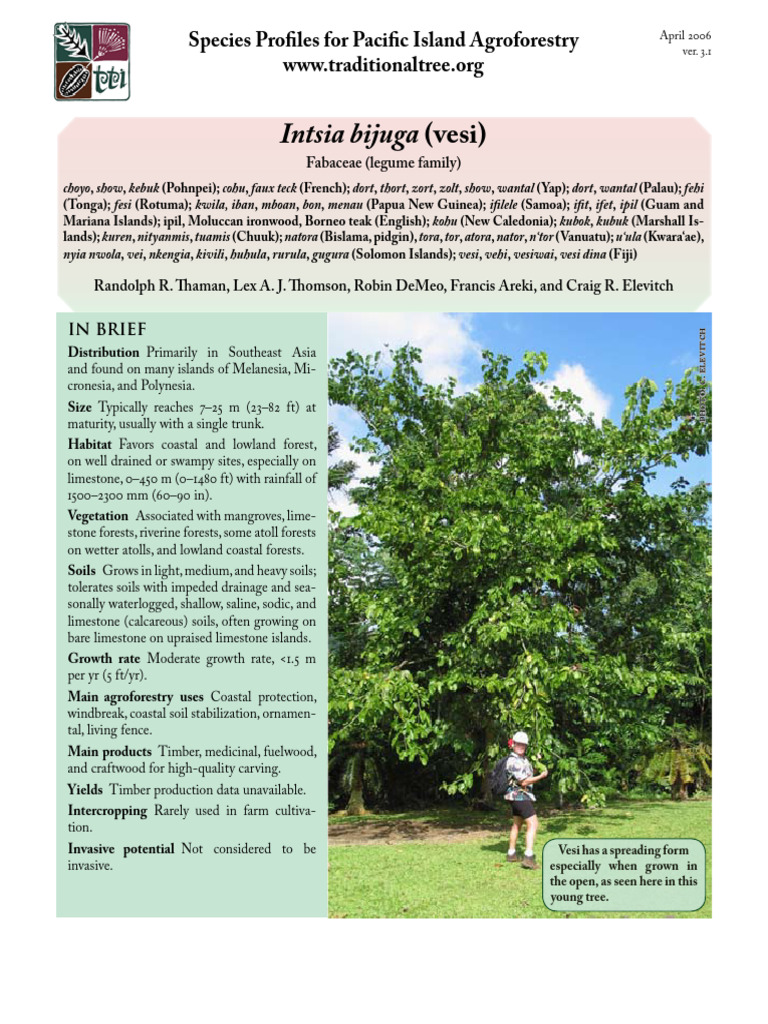 Intsia Bijuga | PDF | Earth Sciences | Trees