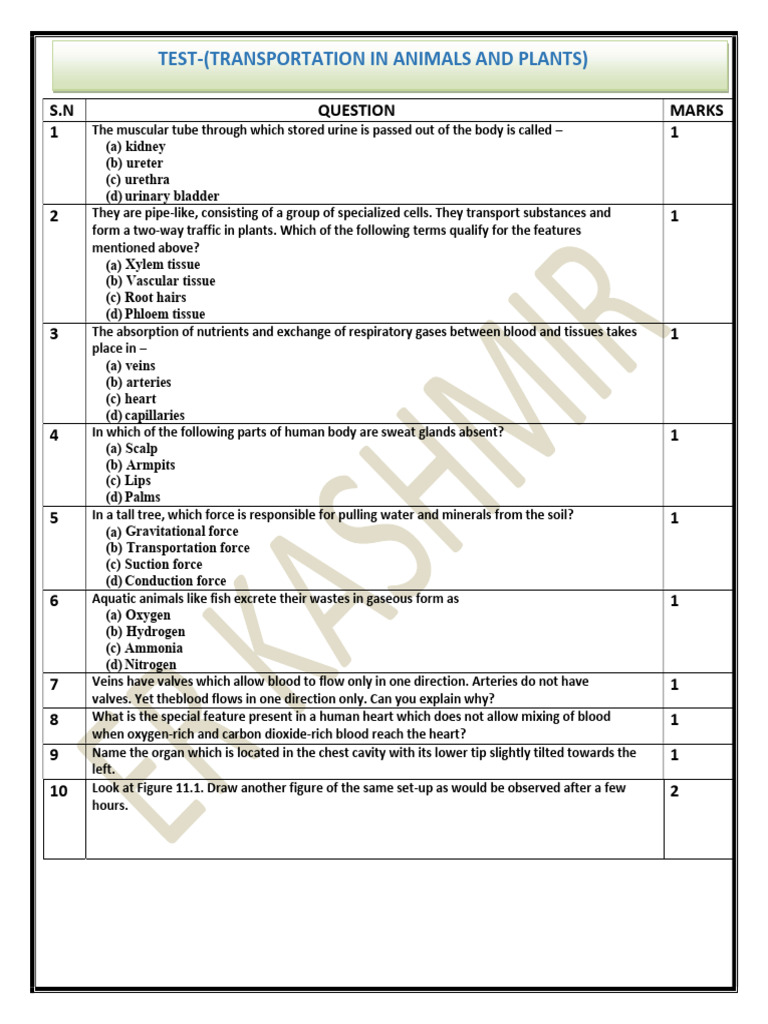 Transpiration in Plant and Animal Exasmpler | PDF | Urinary System ...