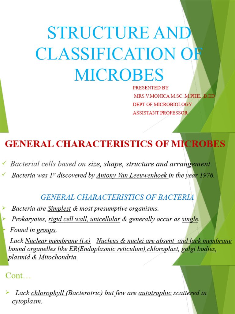 Structure SND Classification of Microbes | PDF | Bacteria | Cell (Biology)