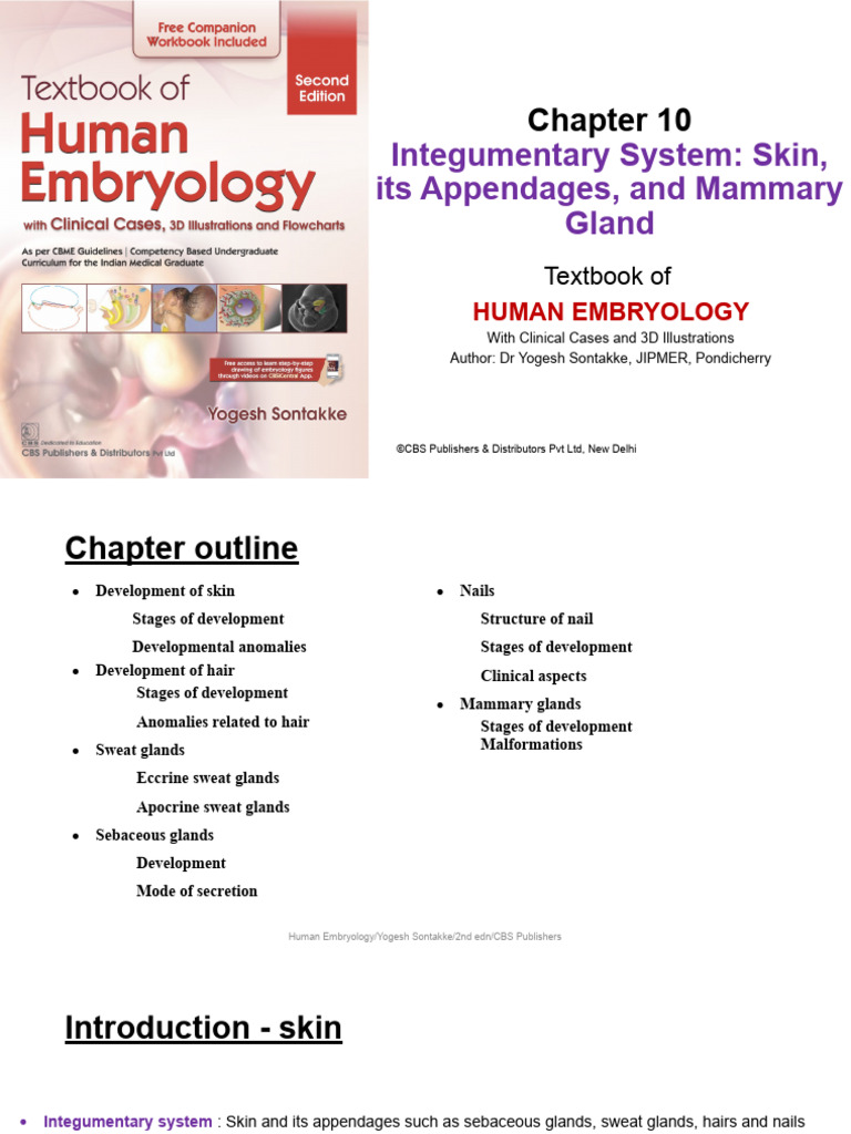 Chapter 10 Integumentary System Skin, Its Appendages, and Mammary Gland ...