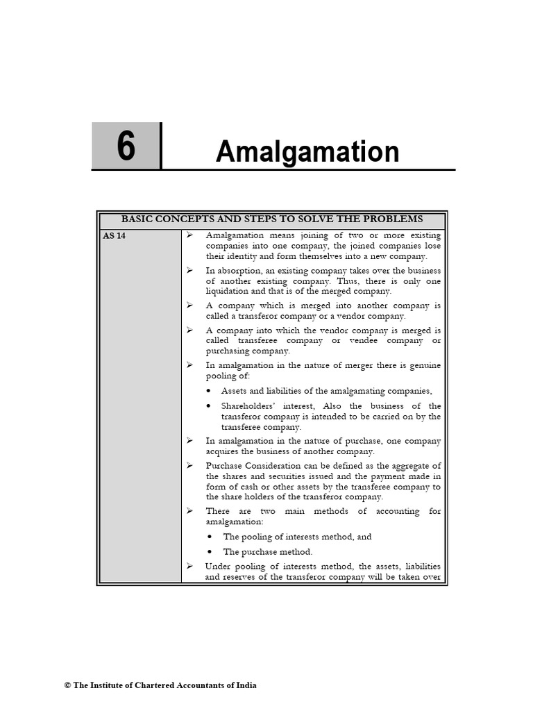 PM Amalgamation | PDF | Equity (Finance) | Balance Sheet