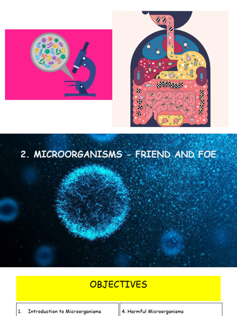 CH 2. Microorganisms | PDF | Microorganism | Bacteria