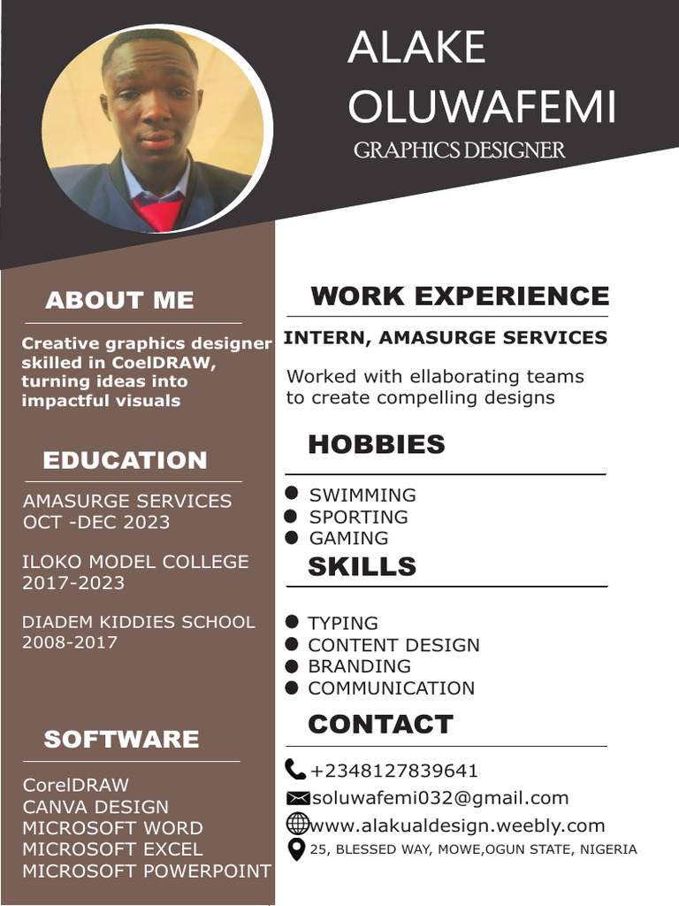 Femi CV 1 | PDF | Computers