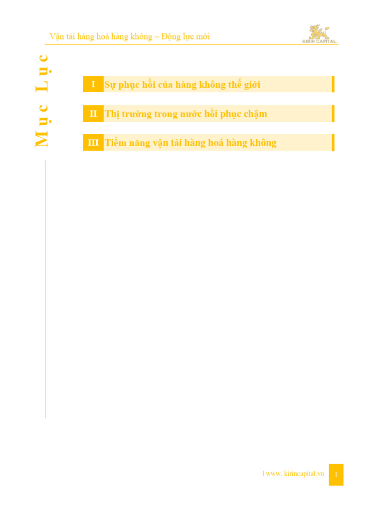 Bao Cao Nganh Van Tai Hang Hoa Hang Khong | PDF