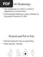 Body Shape of Fishes | PDF | Fin | Fish