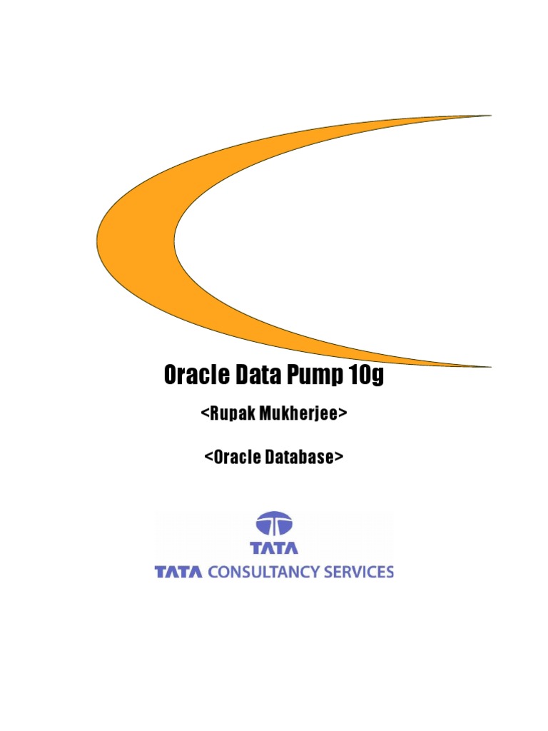 Oracle 10g Data Pump Overview | PDF | Oracle Database | Oracle Corporation
