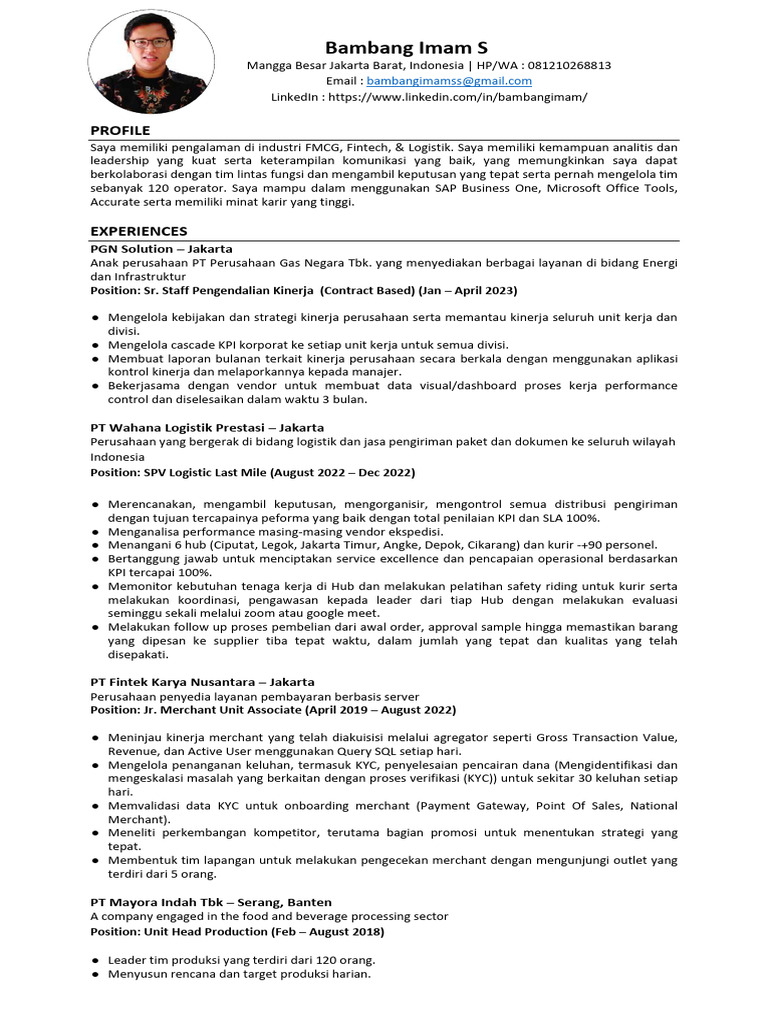 CV - Bambang Imam 2024 | PDF | Karier & Perkembangan