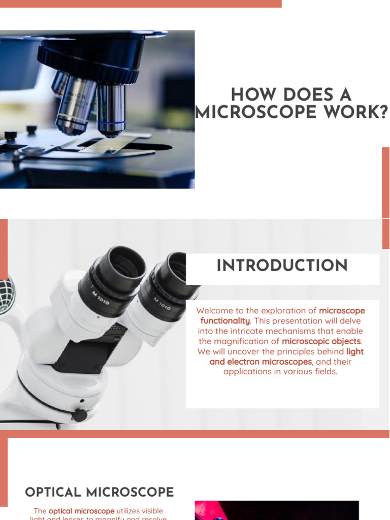 How Microscopes Work: A Guide | PDF