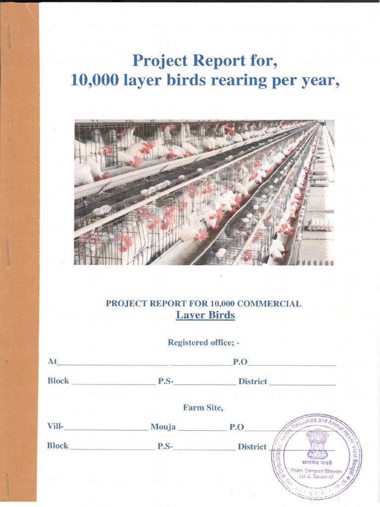 Project Report For 10,000 Layers | PDF
