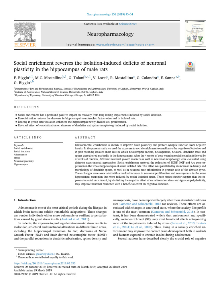 Social Enrichment Reverses The Isolation Induced Deficits of Neuronal ...