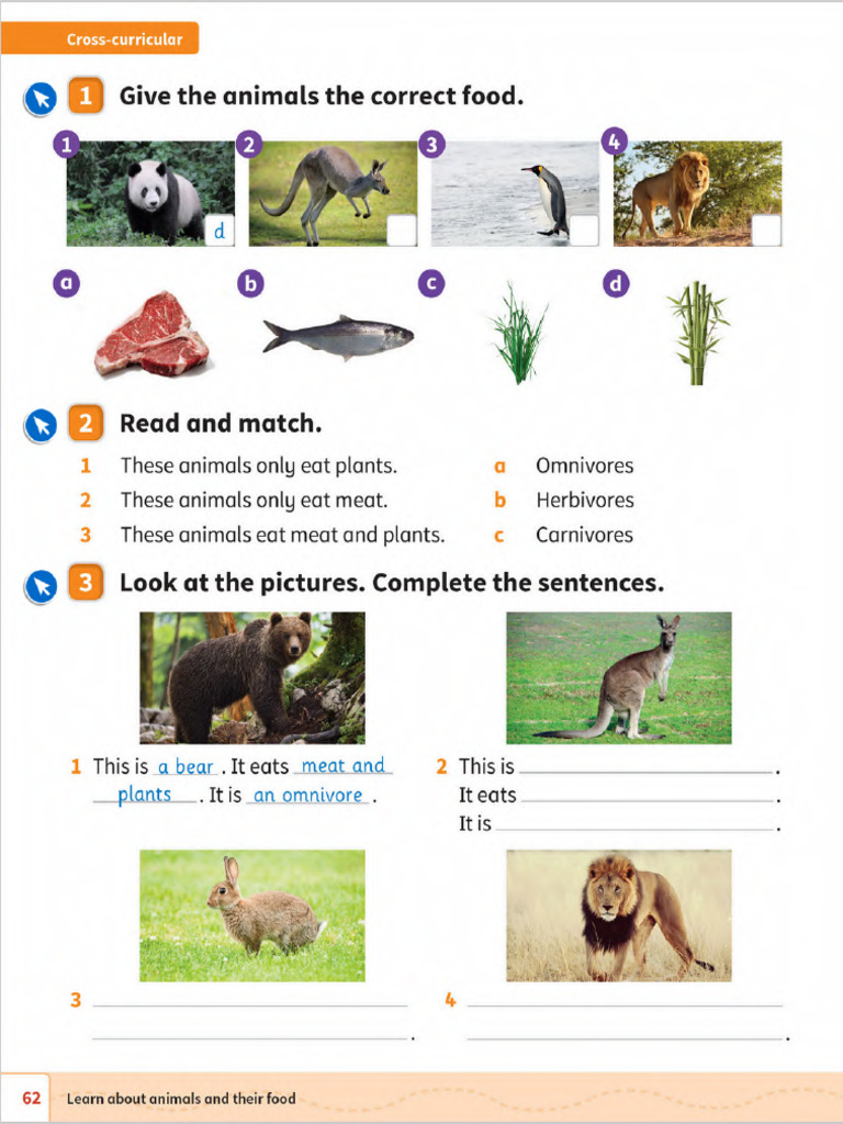 Unit 5 - Lesson 5 | PDF