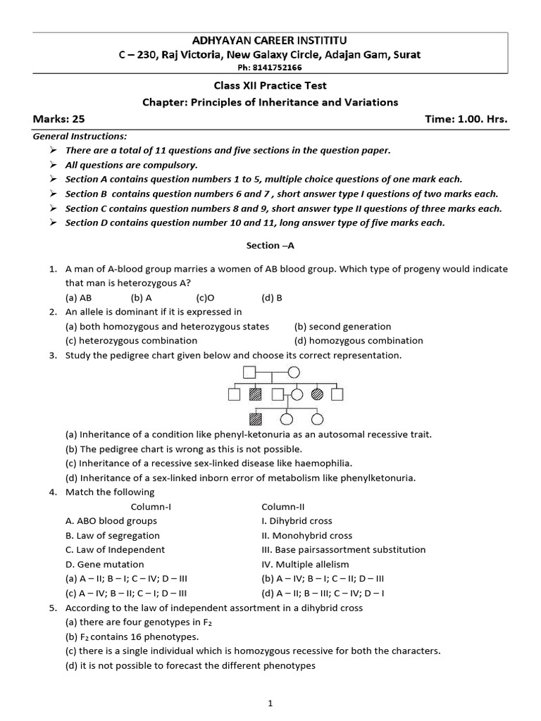 Class XII Inheritance Practice Test | PDF | Dominance (Genetics) | Zygosity