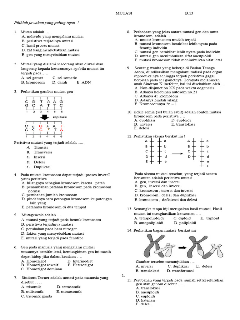 Soal Mutasi New 2 | PDF | Sains & Matematika