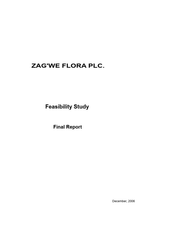 Sample Feasibility Study Final Report | PDF | Internal Rate Of Return | Business