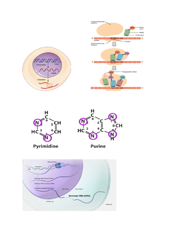 Gambar Trigger 3 | PDF