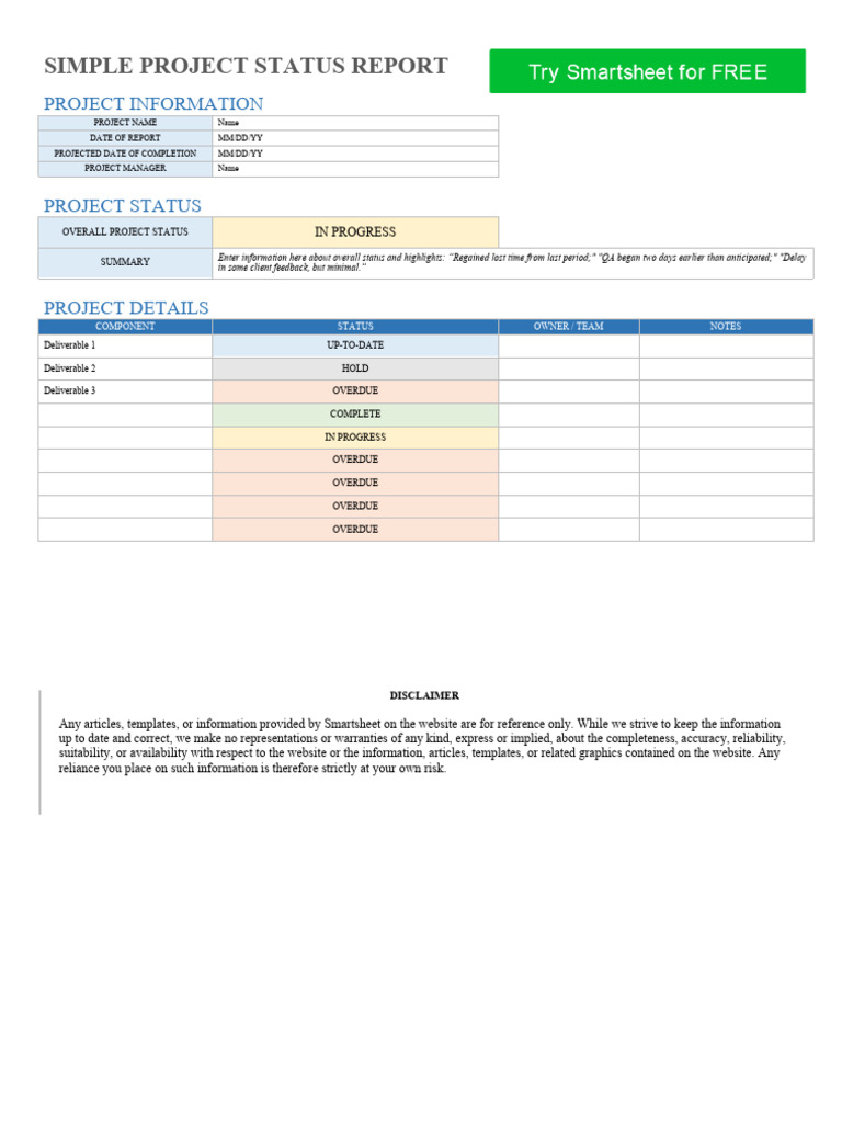 IC Simple Project Status Report 10776 - WORD | PDF