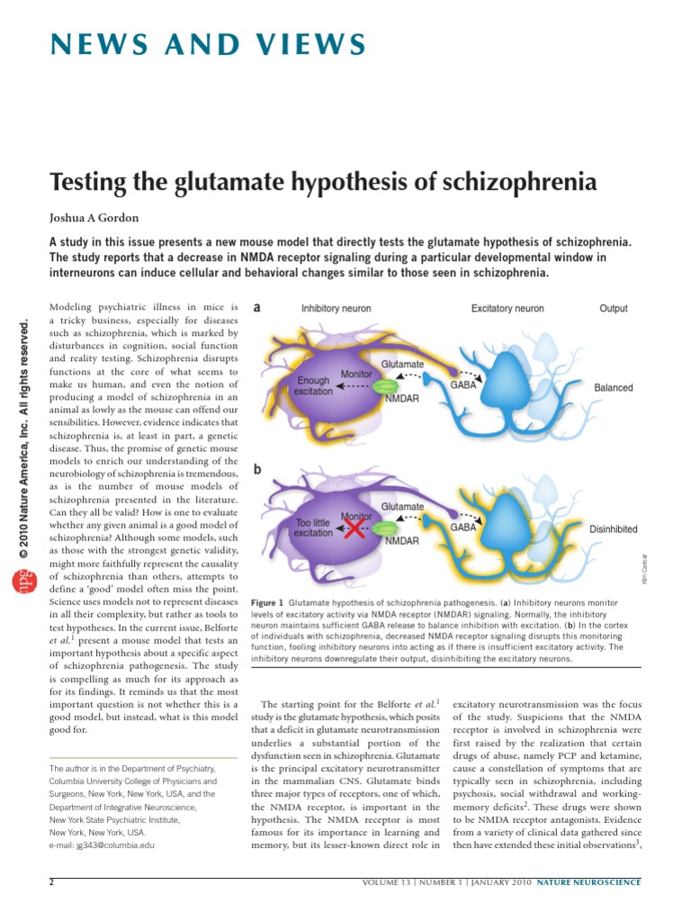 Testing the Glutamate Hypothesis of Schizophrenia | Nmda Receptor ...