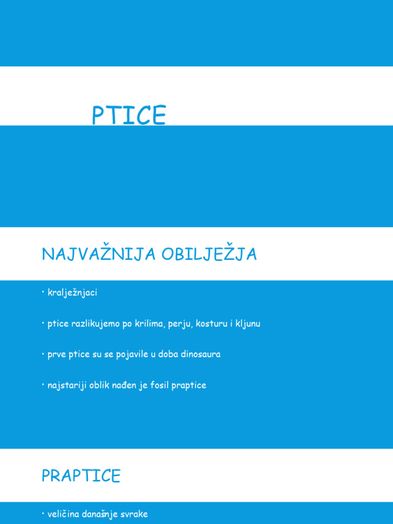 Ptice | PDF