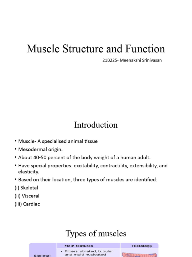 Muscle Structure and Function | PDF