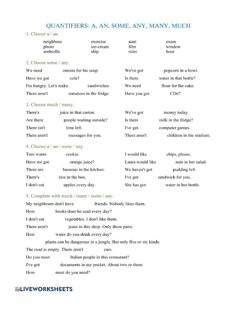 Some Any Much Many | PDF
