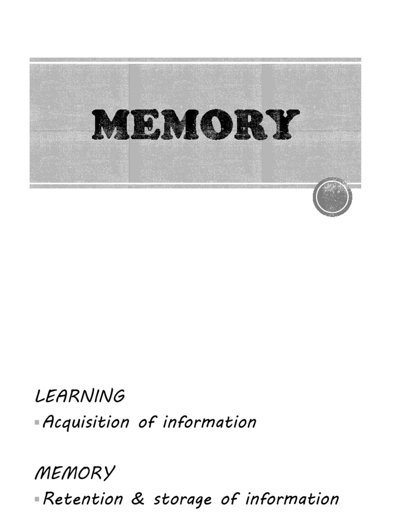 MEMORY | PDF | Memory | Long Term Potentiation