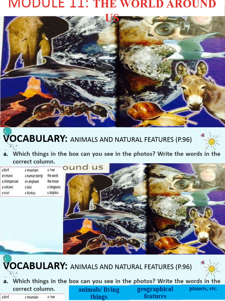 NCE - Elementary - Module 7 (11) - The World Around Us | PDF | Cats ...