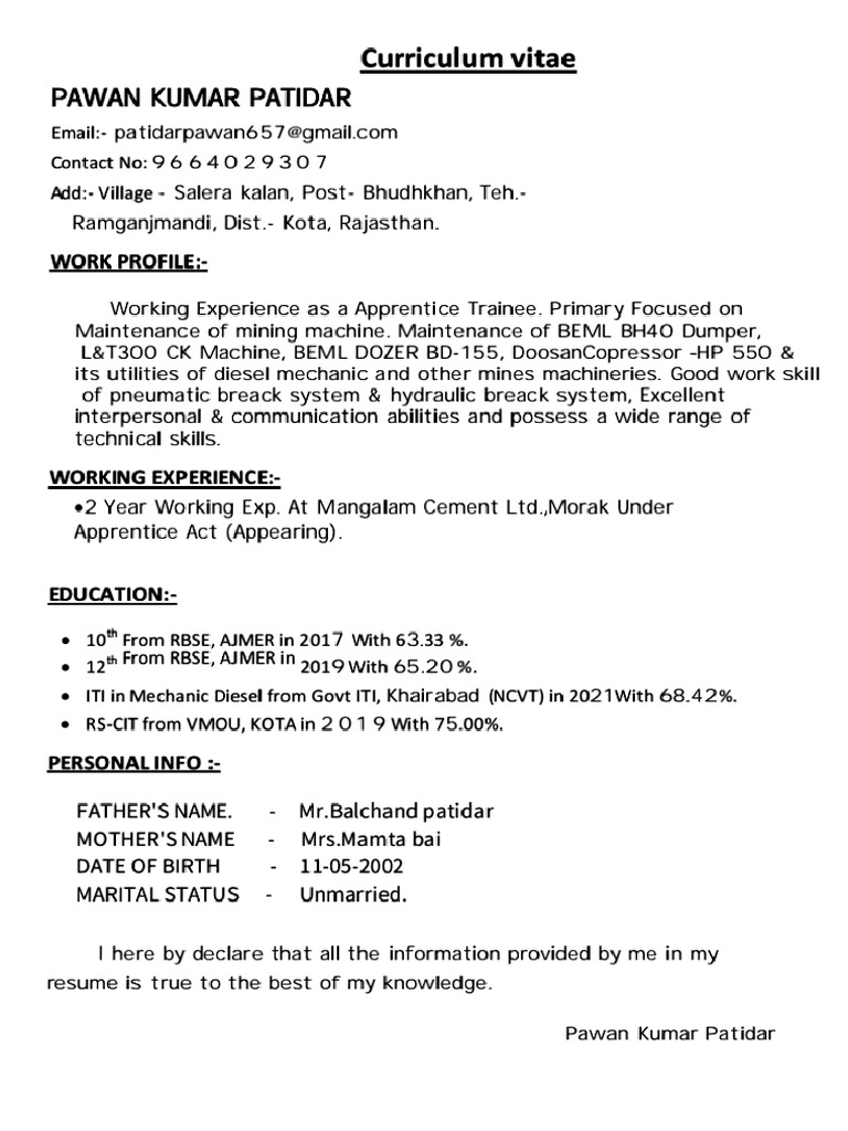 CV Pawan Patidar | PDF