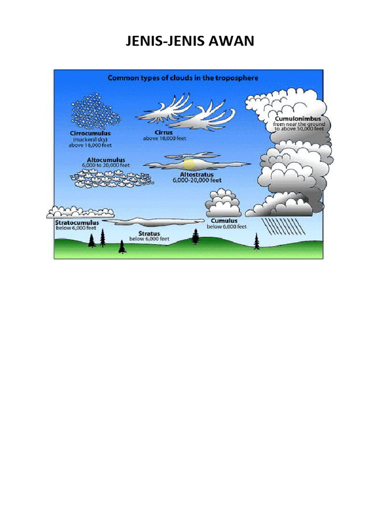 JENIS Awan | PDF | Sejarah