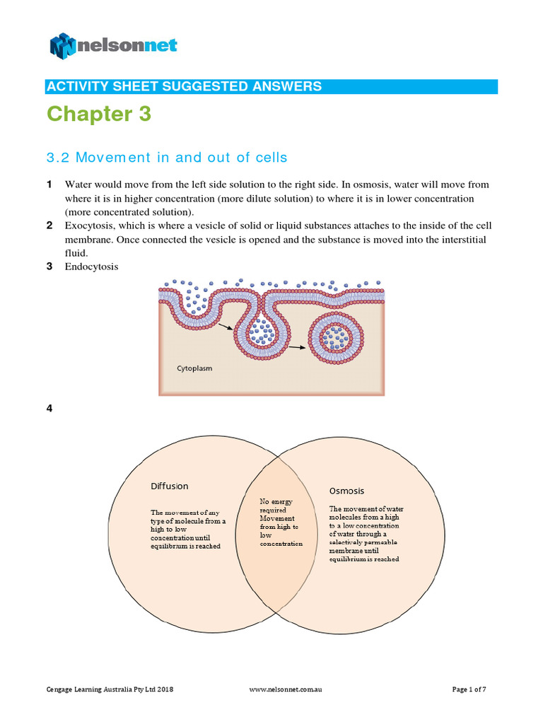 11 Bio Chp3 Activity Answers | PDF | Cellular Respiration | Adenosine Triphosphate