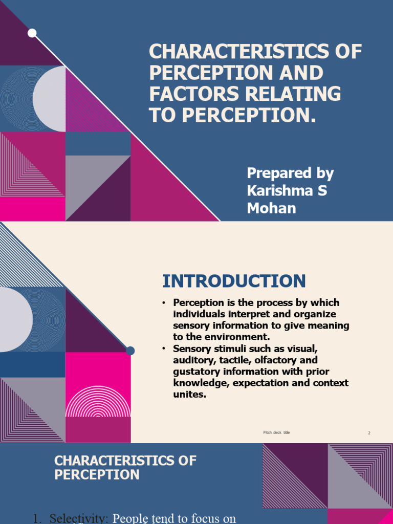 Perception: Characteristics and Factors | PDF | Perception | Psychology