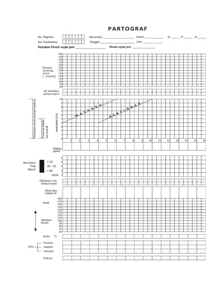 Partograf Neww Fiks | PDF