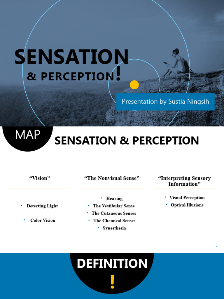 Sensation and Perception | PDF | Senses | Visual Perception