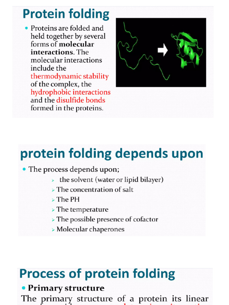Protein Folding | PDF