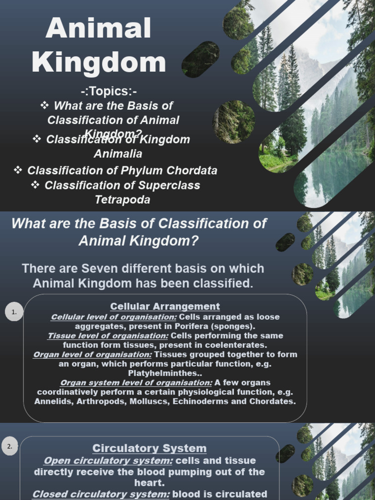 Animal Kingdom | PDF | Zoology